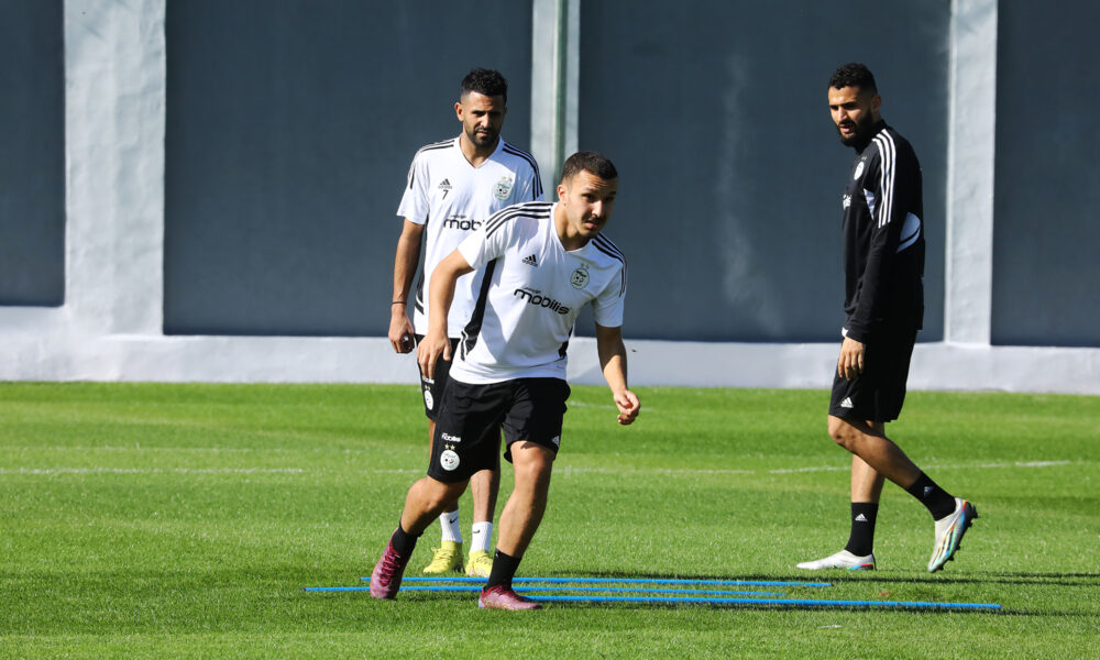 Et Yanis Hamache dans tout ça