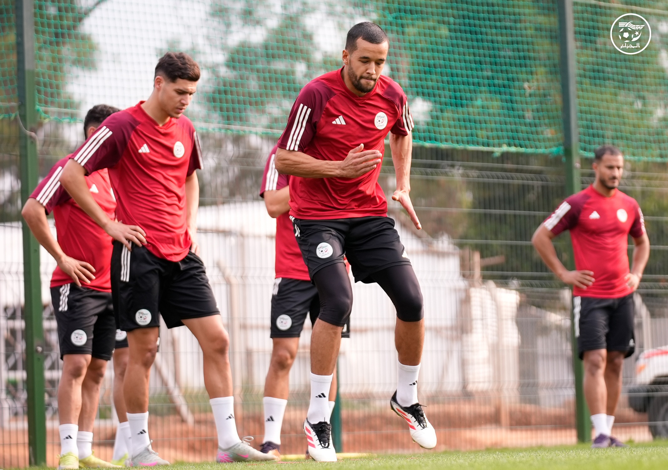 CHAN 2024/ Algérie-Afrique du Sud (MATCH LIVE) : pour un ticket en quart