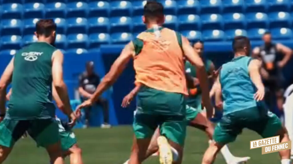 Argentine : Lionel Scaloni observe l'Algérie et se montre prudent